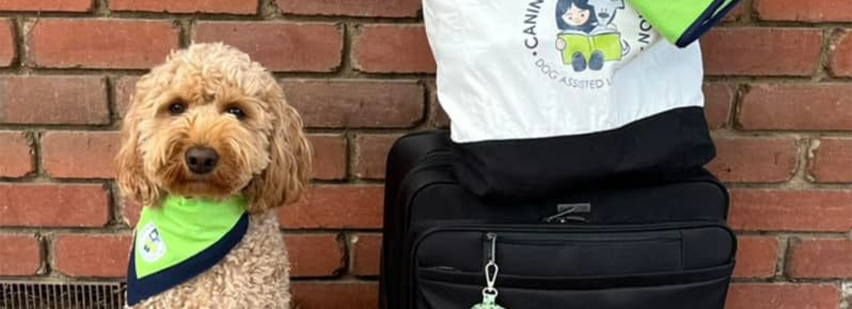 Book A Dog For A Day - Canine Comprehension